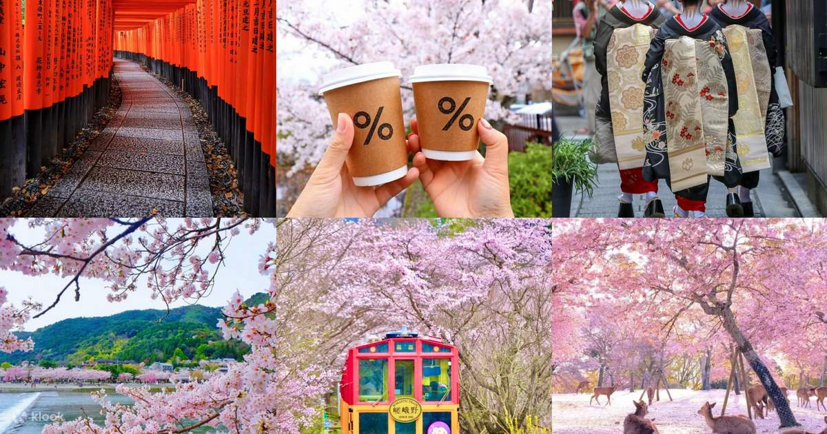 [Kyoto, Nara, Arashiyama Train Cherry Blossoms One Day Tour] Hotel pick-up available | Small ...
